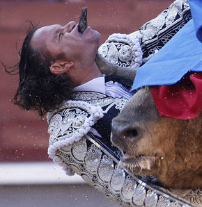 Matador ağır yaralandı