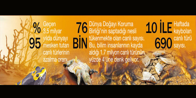 Bildiğimiz dünyanın sonu, İklim Değişiklikleri, Dünyanın Doğası, Doğal ...