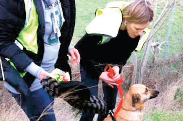 Emma Graham Harrison köpeği bulununca Paris'e döndü