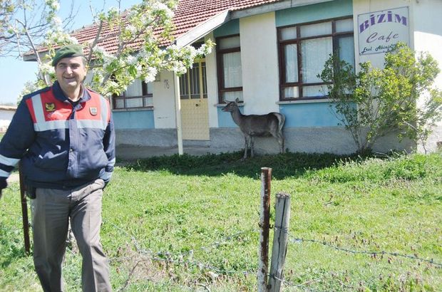 Akşehir'in Alanyurt Mahallesi’nde Selçuk Üniversitesi Akşehir Meslek ...