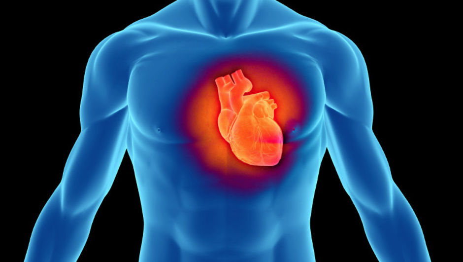 İnsan kalbi 3 bin 200 yıldır tekliyormuş! | Sağlık Haberleri