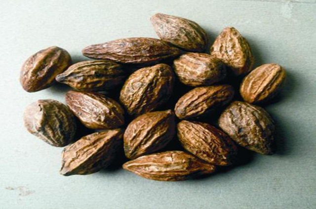 Kara halile nedir? Kara halile otu faydaları