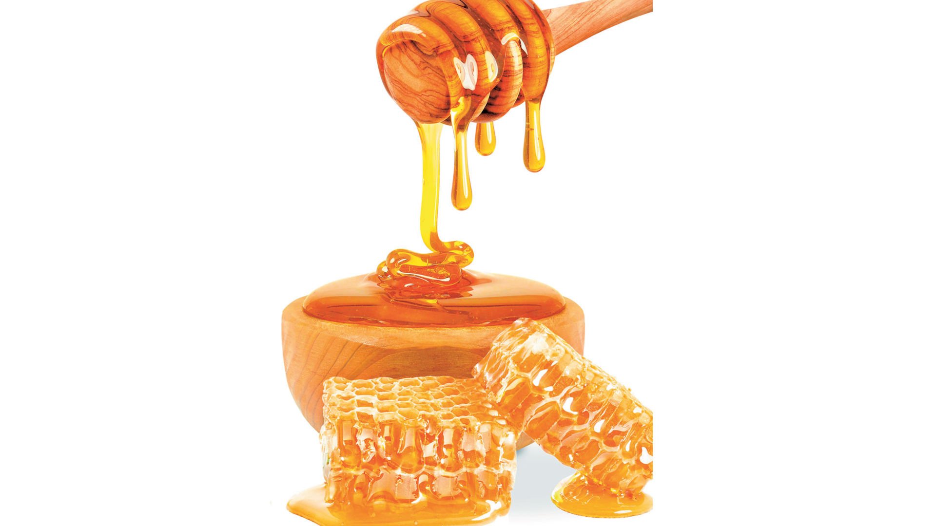 Türkiye'de arıcılık, bal ve bal arıları hakkında merak edilenler