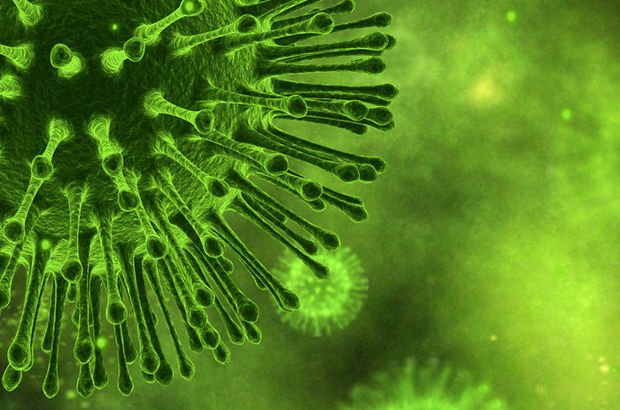 Koksaki virüsü nedir? Koksaki virüsü belirtileri nelerdir?