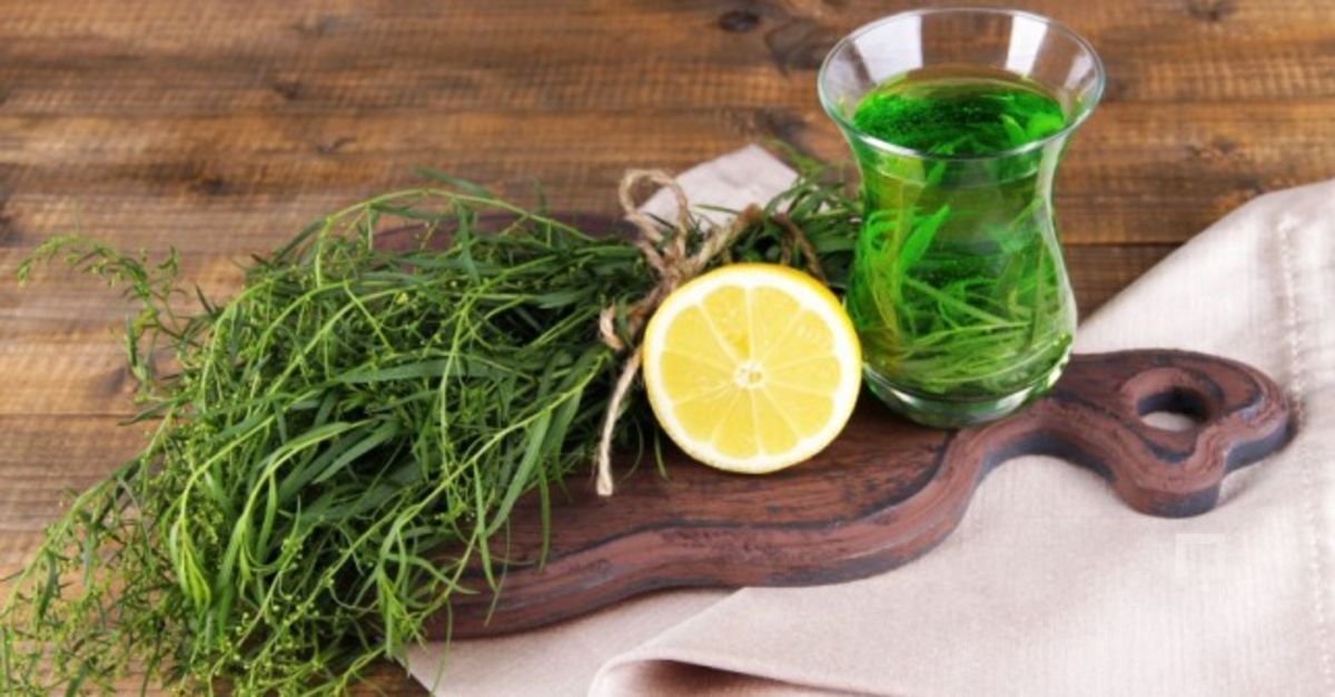 Tarhun nedir? Ejder otu olarak bilinen tarhunun faydaları nelerdir?