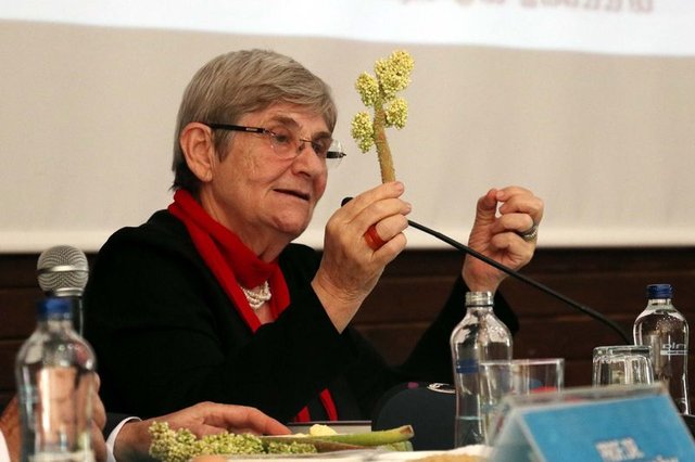 Bennu Gerede'den Canan Karatay'a sert yanıt - Magazin haberleri