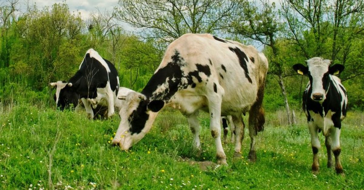 TARSİM'in kapsamı genişletildi - İş-Yaşam Haberleri