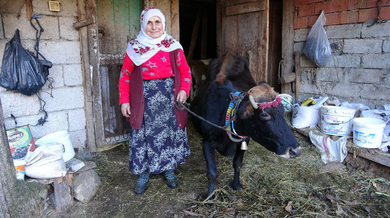 'Yadigar'a 35 yıldır gözleri gibi bakıyorlar