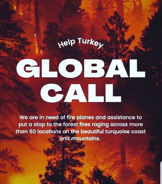 "Help Turkey!" (Türkiye'ye yardım et!) etiketi ünlü isimleri ikiye ...