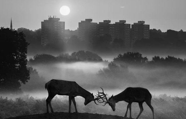 14. Manzara Fotoğraf ödüllerinin LPOTY 2021 kazanları| HT Gastro