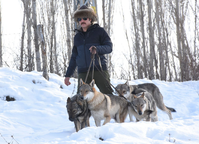 Özel yetiştirdiği kurtlarıyla dağlarda geziyor