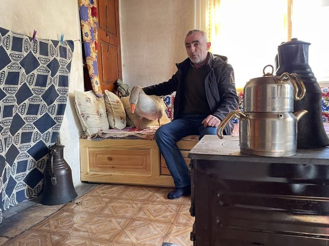 Kaz Fedai sahibiyle gezintiye çıkıp alışverişe gidiyor