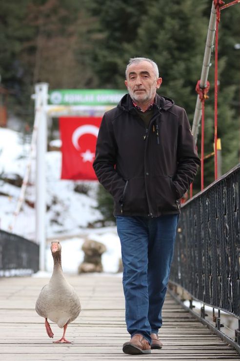 Kaz Fedai sahibiyle gezintiye çıkıp alışverişe gidiyor