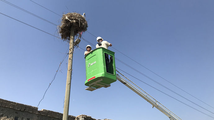 Iğdır'da halkalanan leylek Afrika'dan 3 yıl sonra geri döndü