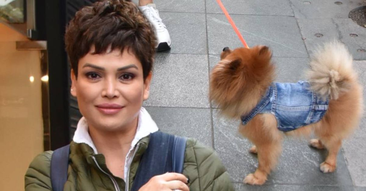 Didem Taslan köpeğiyle yürüyüşte