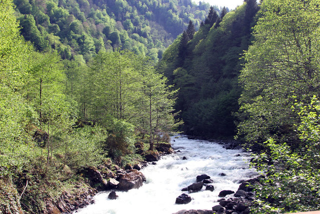 Rize yaylaları| HT Gastro