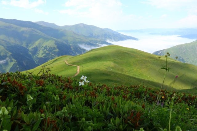 Rize yaylaları| HT Gastro