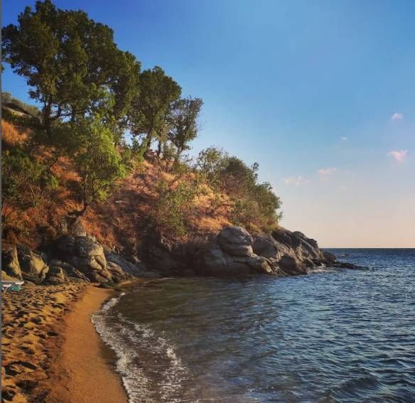 İstanbul'a yakın yerler: Manastır Koyu| HT Gastro