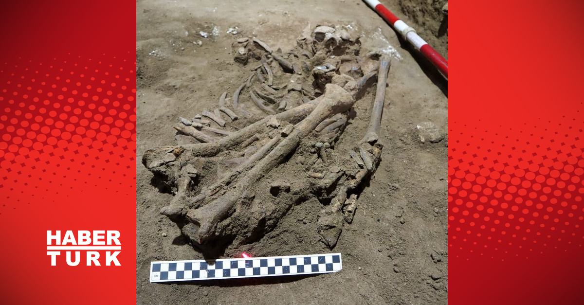 31 bin yıllık iskelette tarihin en eski amputasyonu
