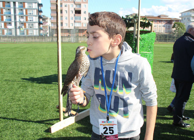 Rize'de atmaca ve şahin güzellik festivali düzenlendi