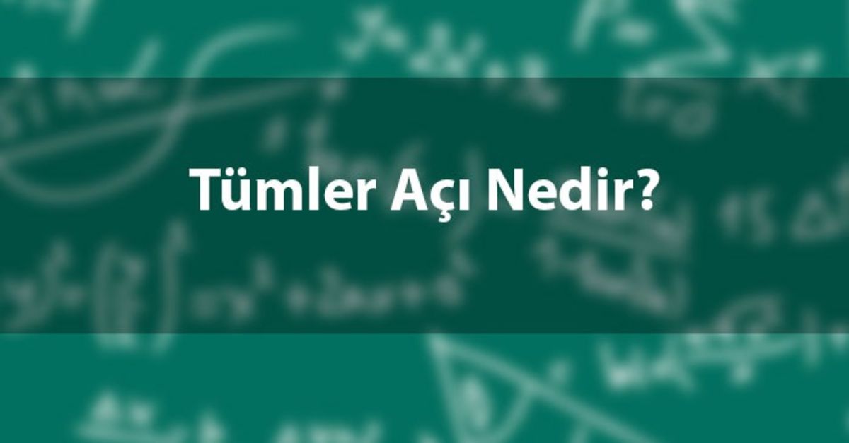 Tümler Açı Nedir, Kaç Derecedir? Tümler Açı Konu Anlatımı Özeti