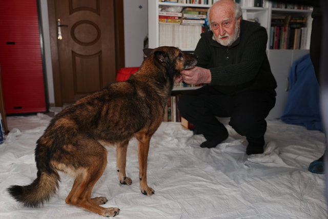Alman kurdu kırması Zeynep, 'yaşayan en yaşlı köpek' unvanına aday