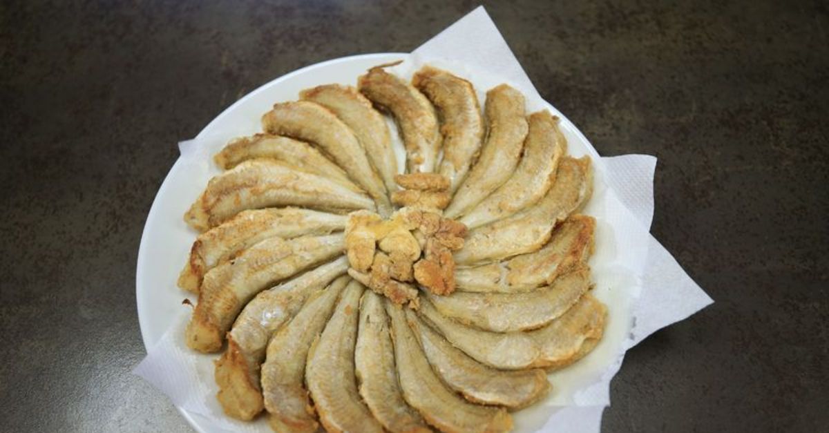 Mezgit Balığı Nedir, Nasıl Bir Balıktır? Mezgit Balığı Nerelerde Yaşar ...