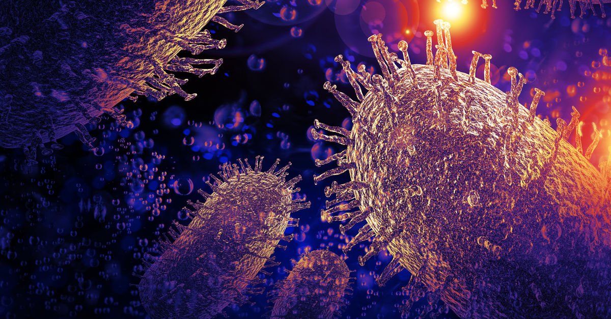 Köpek gribi insanlara bulaşmak için adapte oluyor! Bilim insanları uyarıyor