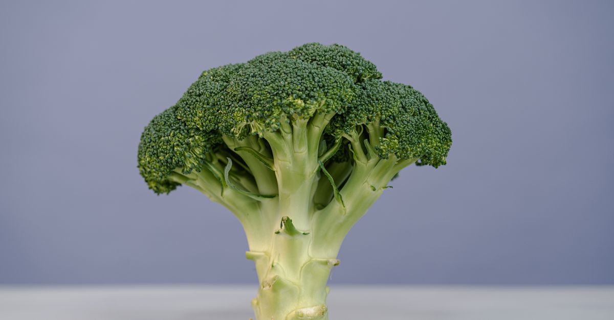 Haşlanmış Brokoli Bozulur Mu, Nasıl Saklanmalı? Haşlanmış Brokoli ...