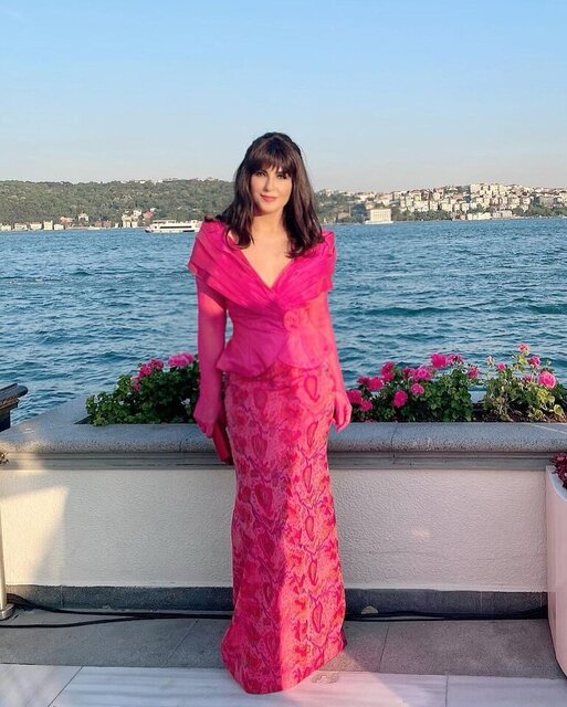 Ayşegül Aldinç'in zor günü: Hayat; bir düğün, bir hastane - Magazin ...