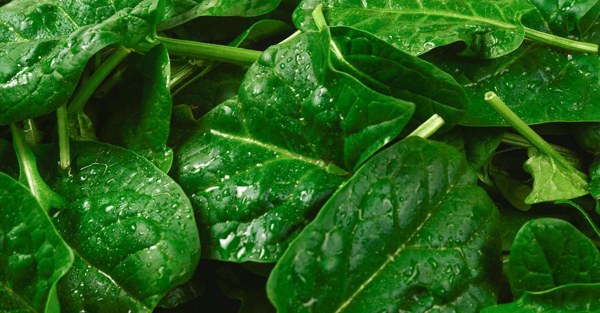 Roka Ne Zaman ve Nasıl Ekilir? Roka Ekimi Hangi Ayda Olur?