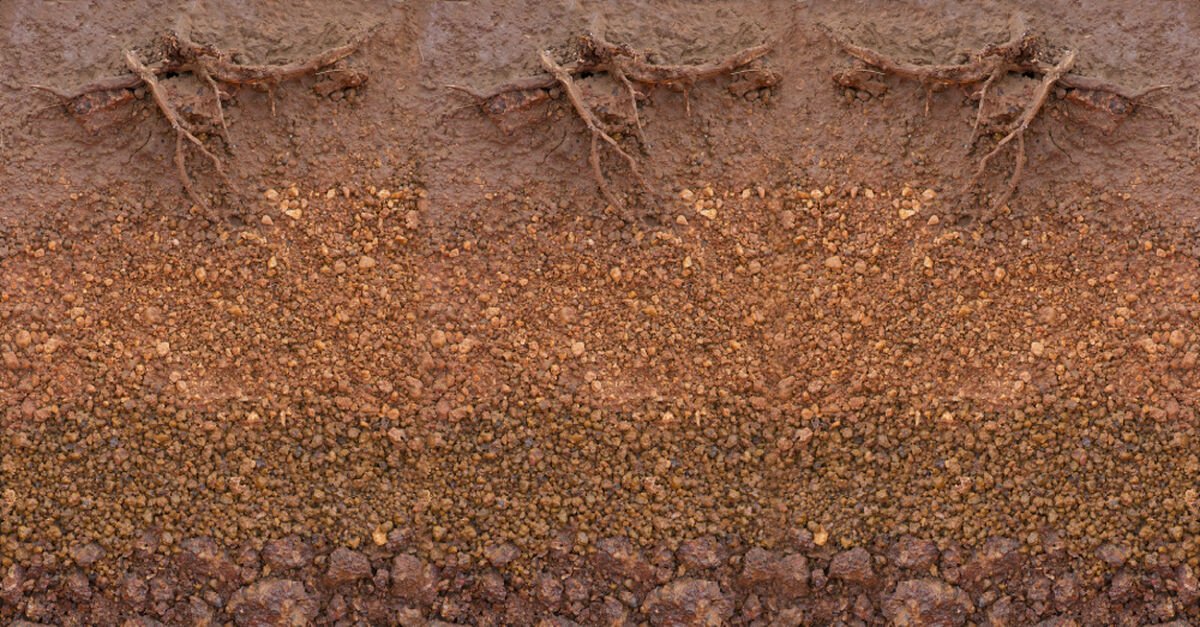 Azonal Topraklar Nelerdir? Azonal Toprak Çeşitleri, Özellikleri ve ...