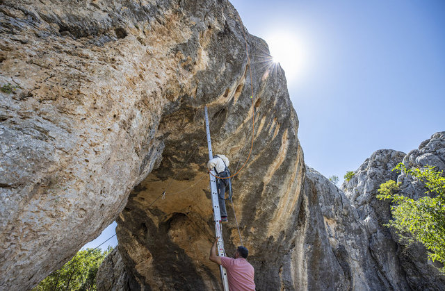 Sarp kayalıklarda yaban arılarının izini sürüyorlar