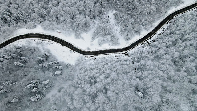 Çam Dağı ormanları karla kaplandı