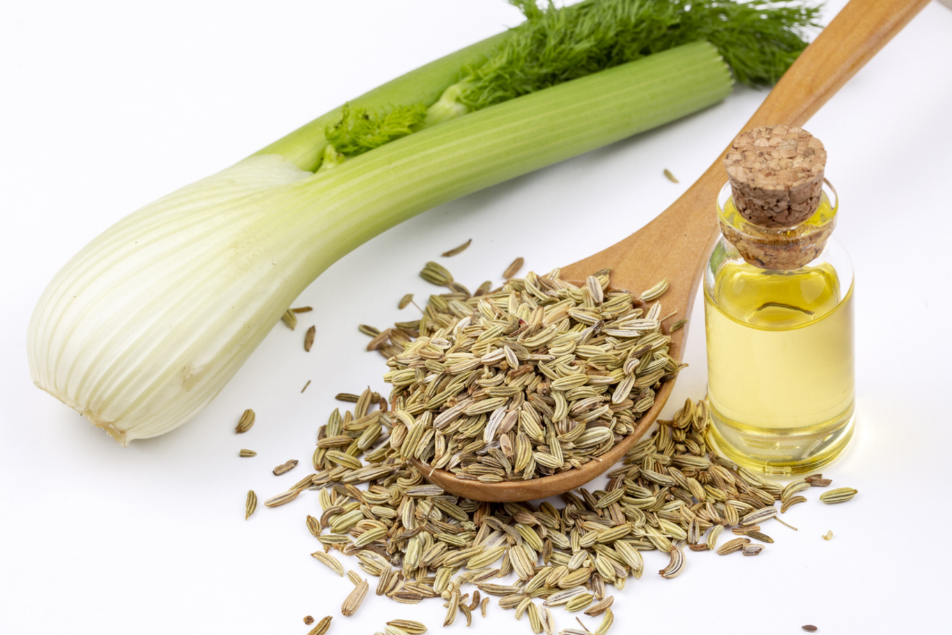 Rezene tohumu, rezene yağının faydaları neler? Rezene çayı nasıl ...