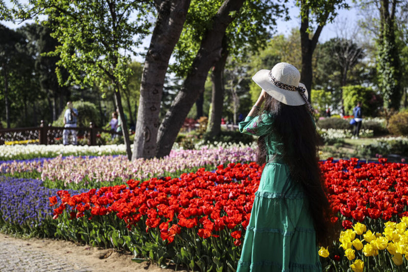İstanbul Lale Festivali nerede? 2024 Emirgan Korusu İstanbul Lale ...