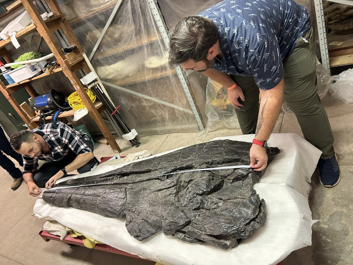 11 yaşındaki kız çocuğu bulmuştu... 202 milyon yaşında!