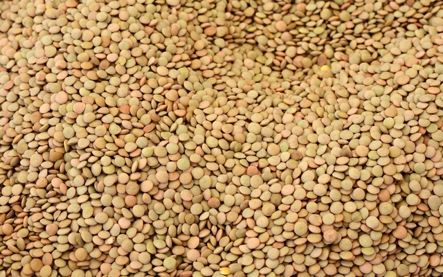 Bitki bazlı proteinleri tercih edenlerin sayısı artıyor! Hangi protein ...