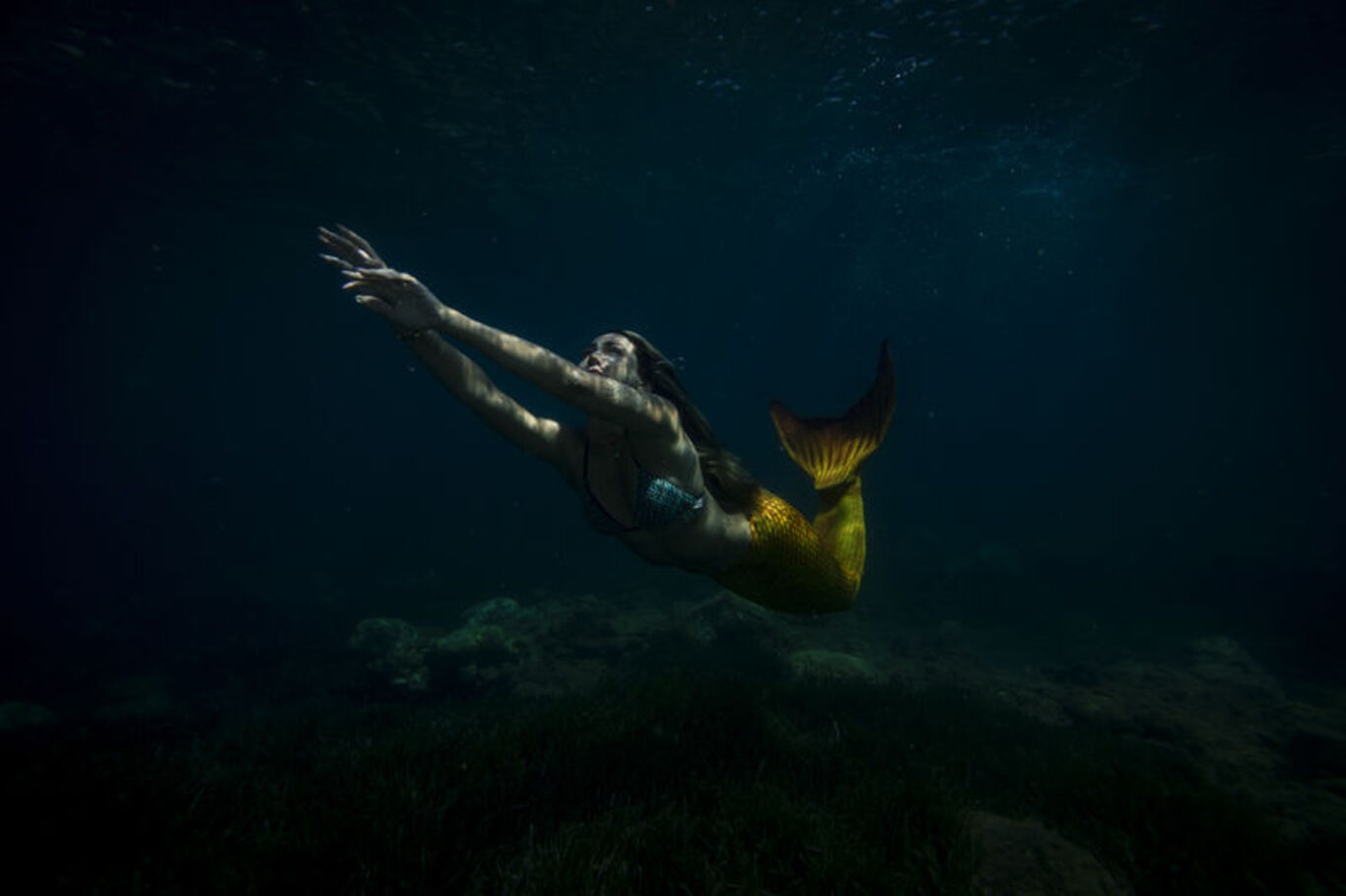 'Deniz kızı' olup su altını keşfediyorlar