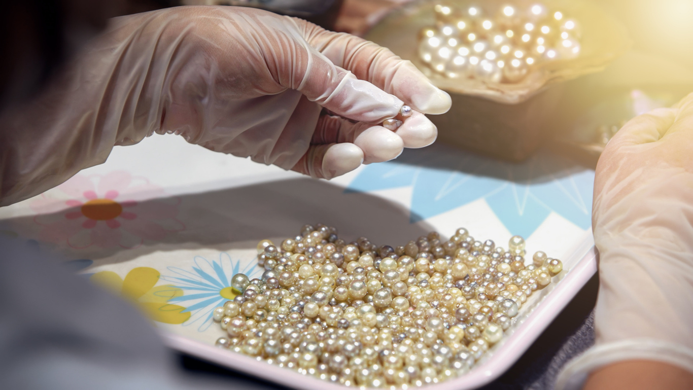 İnci çeşitleri ve özellikleri nelerdir? İnci oluşum süreci ve anatomisi ...