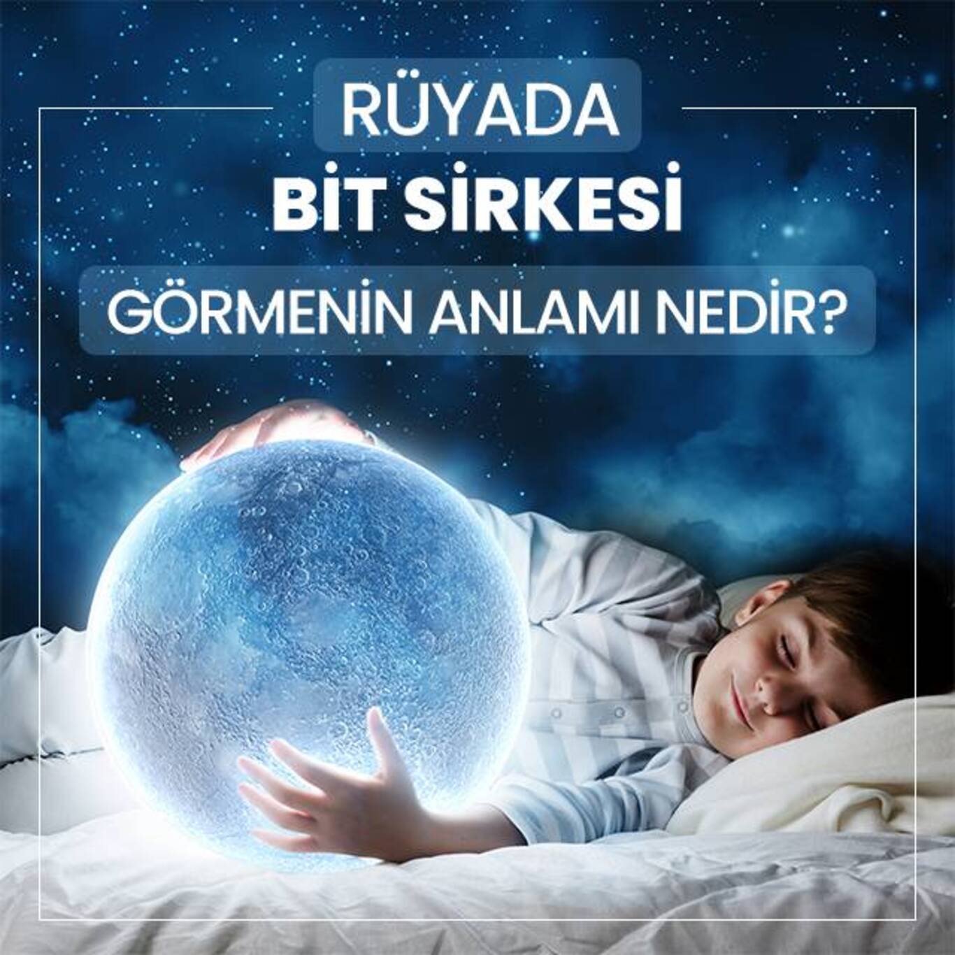 Rüyada bit sirkesi görmek ne anlama gelir? Rüyada başkasının saçında ...