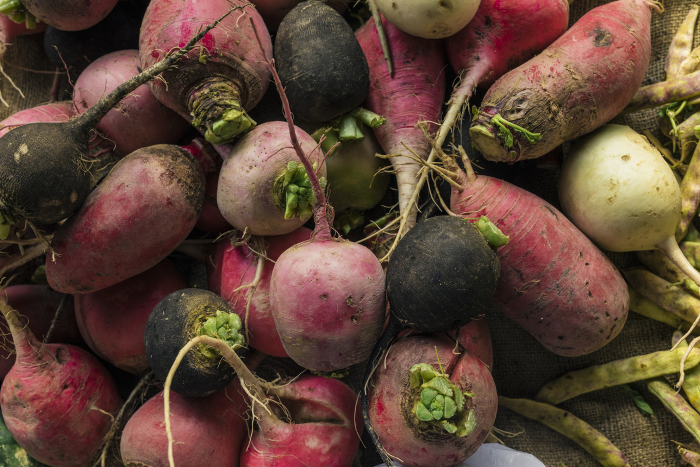 Turp gibi deyimi boşuna söylenmemiş! Cildinizden kalbinize turp ...