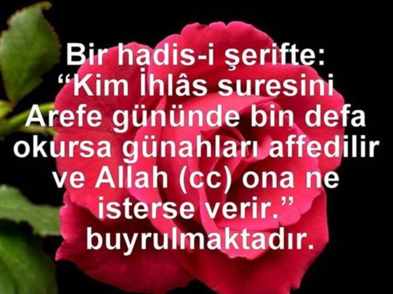 Resimli Arefe Günü kutlama mesajları 2025: En güzel, kısa, uzun, dualı Arefe (Arife) Günü ...