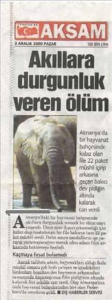 İnanılmaz 'bayan eleman aranıyor' ilanı!