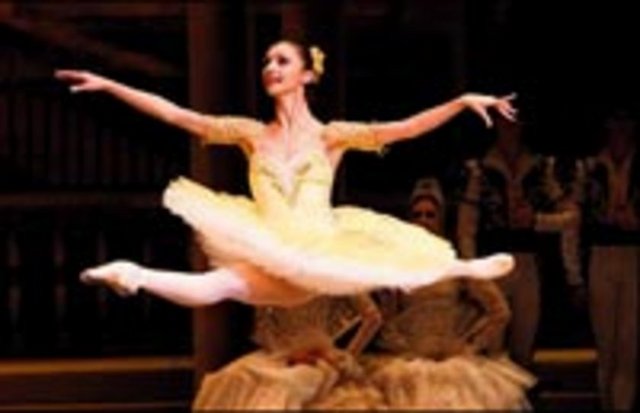 Avrupa’nın en büyük genelevi