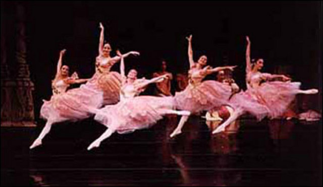 Avrupa’nın en büyük genelevi