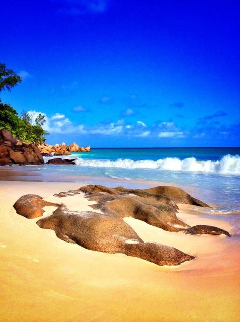 Seyşeller: Güneş, huzur ve tropikal yaşam Levet Özçelik, Seyşeller'e ...