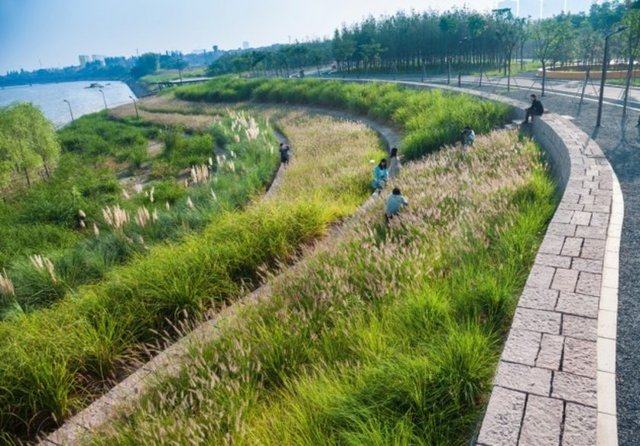 Çinde 30 kente sünger şehir yapılacak - İş-Yaşam Haberleri