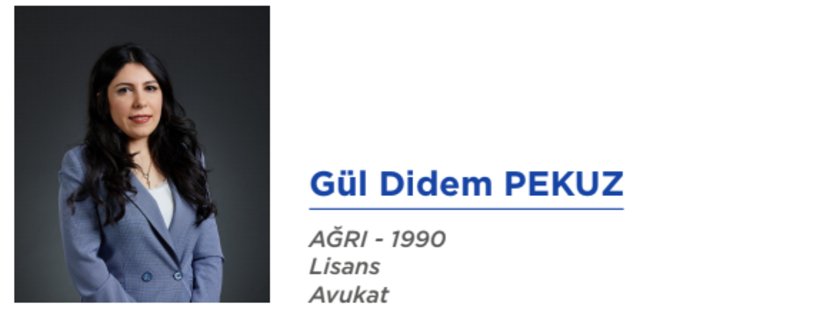 Sadullah Ergin kimdir? Sadullah Ergin nereli, kaç yaşında?