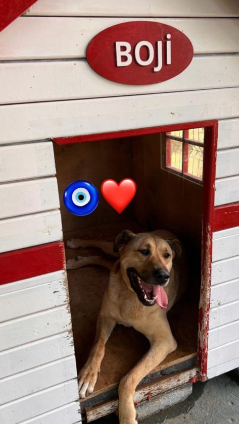 Koç'tan Boji'ye ziyaret... - HT Kulüp Galeriları